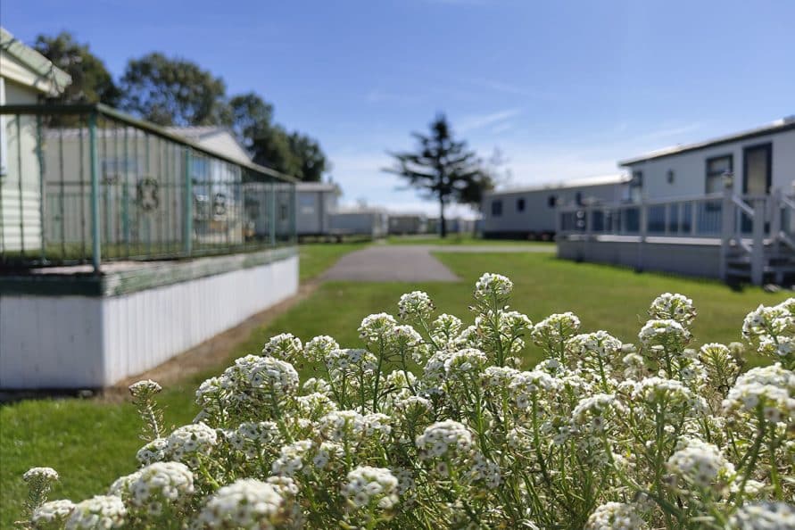 The Best Caravan Holiday In Ingoldmells | Kingfisher Park